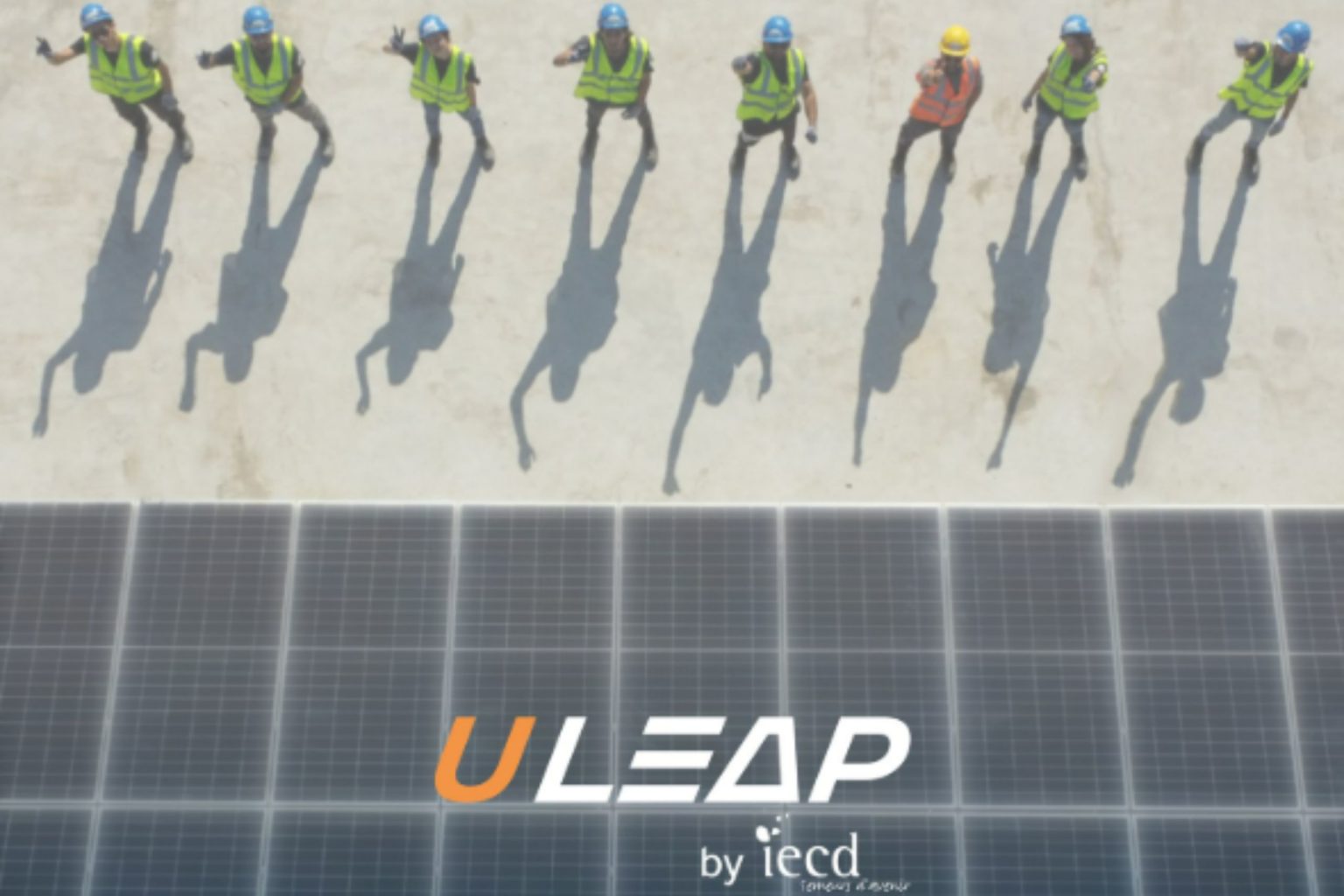 Vocational Training and Professional Integration – Semeurs d'Avenir